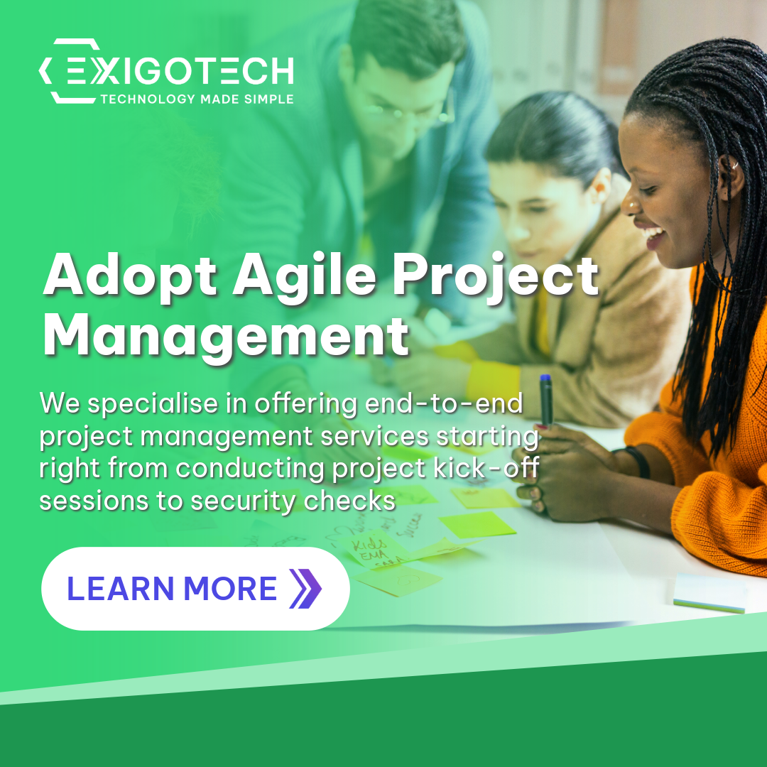 Project Services for IT Initiatives & Project Management